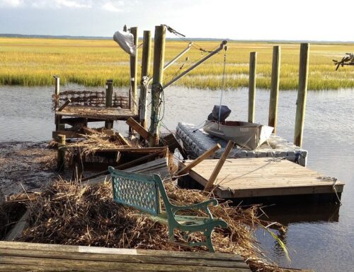 Testimonials & Reviews | Dock Blocks