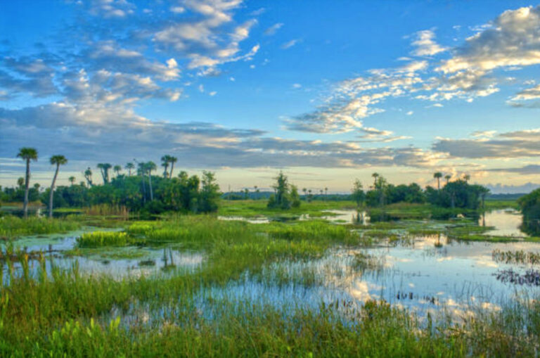Dock Blocks™ Central Florida | Modular Floating Docks & Boat Lifts ...