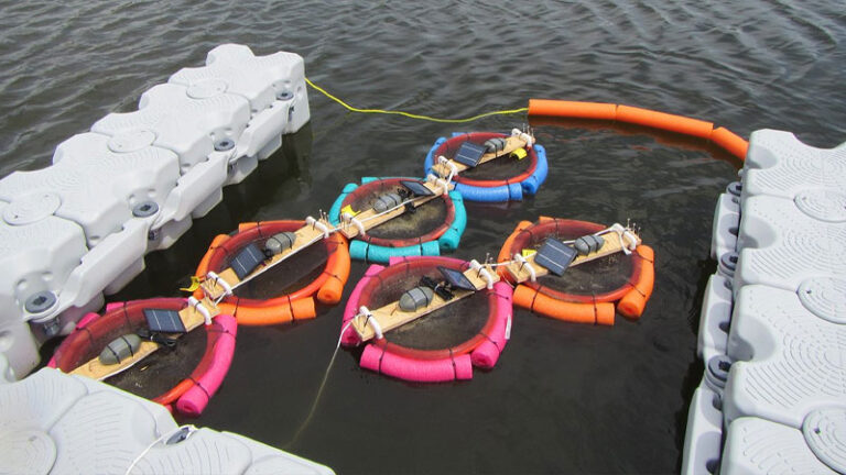 Dock Blocks: Floating Dock Systems that are Built to Last
